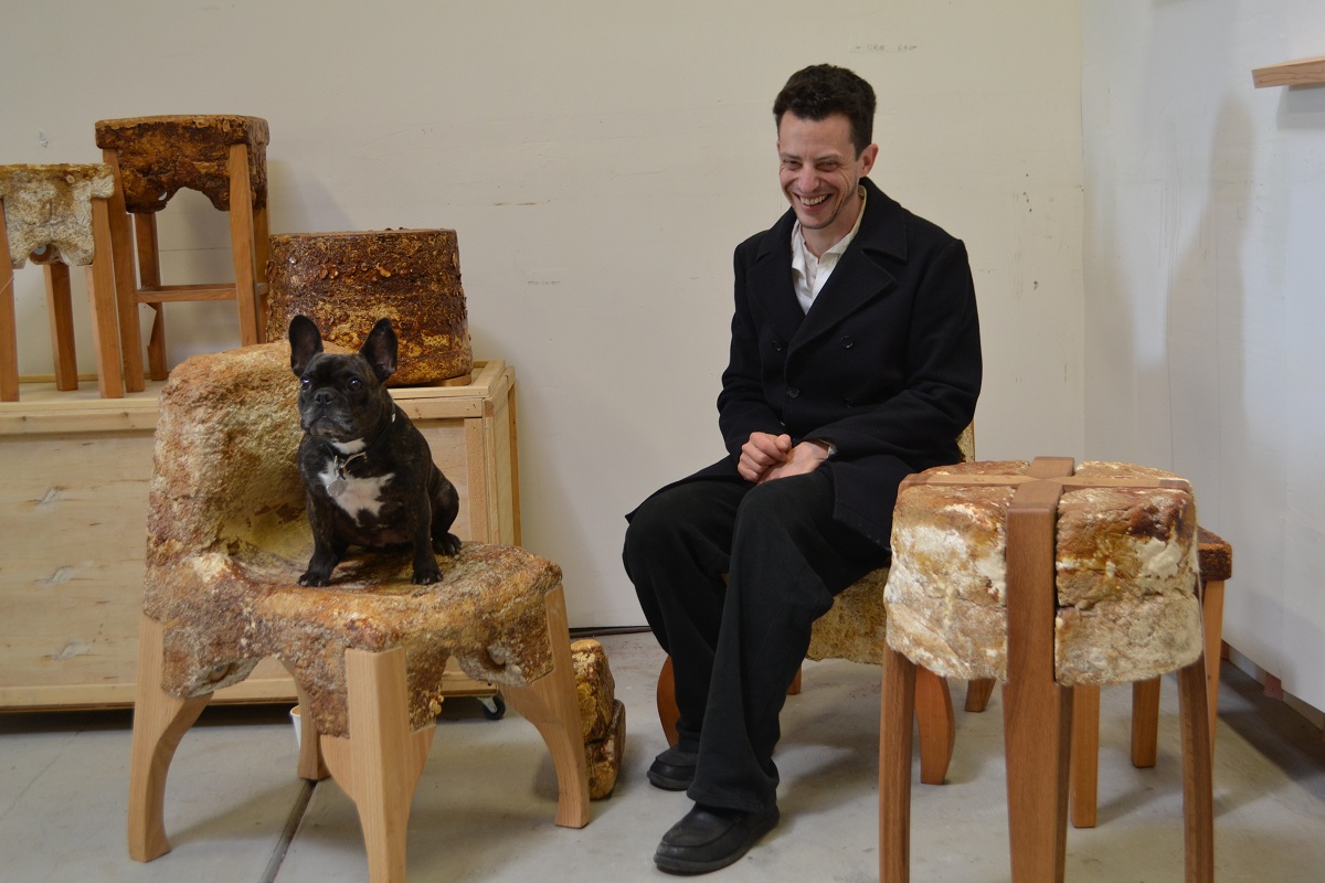 A House Made From Mushrooms? An Artist Dreams of a Fungal Future | Liz ...